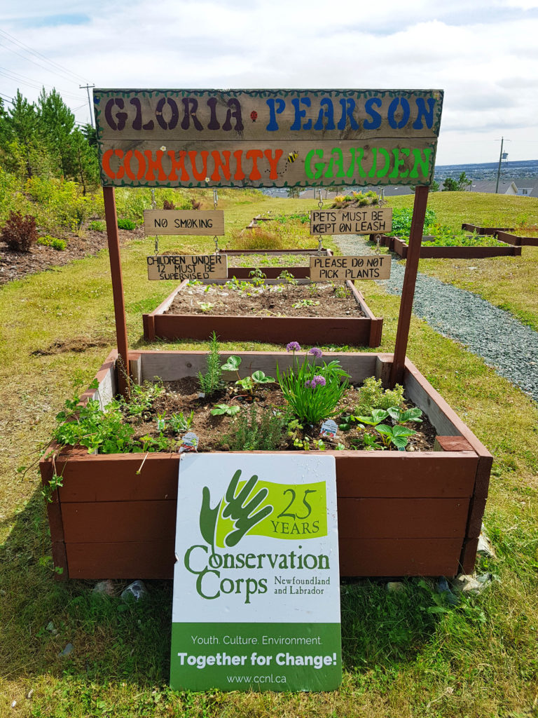 Community Gardens Program | Mount Pearl
